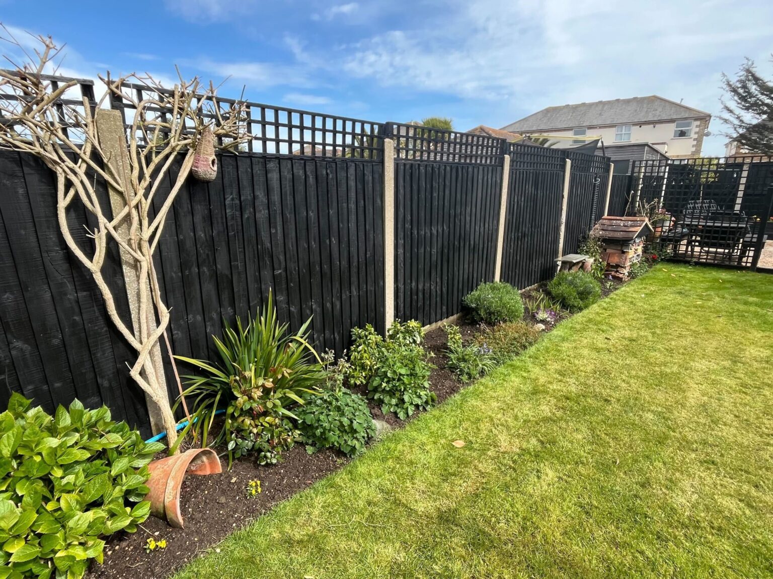 Budget Fence Refresh Ideas: Easy & Affordable Upgrades for 2025 - Home ...